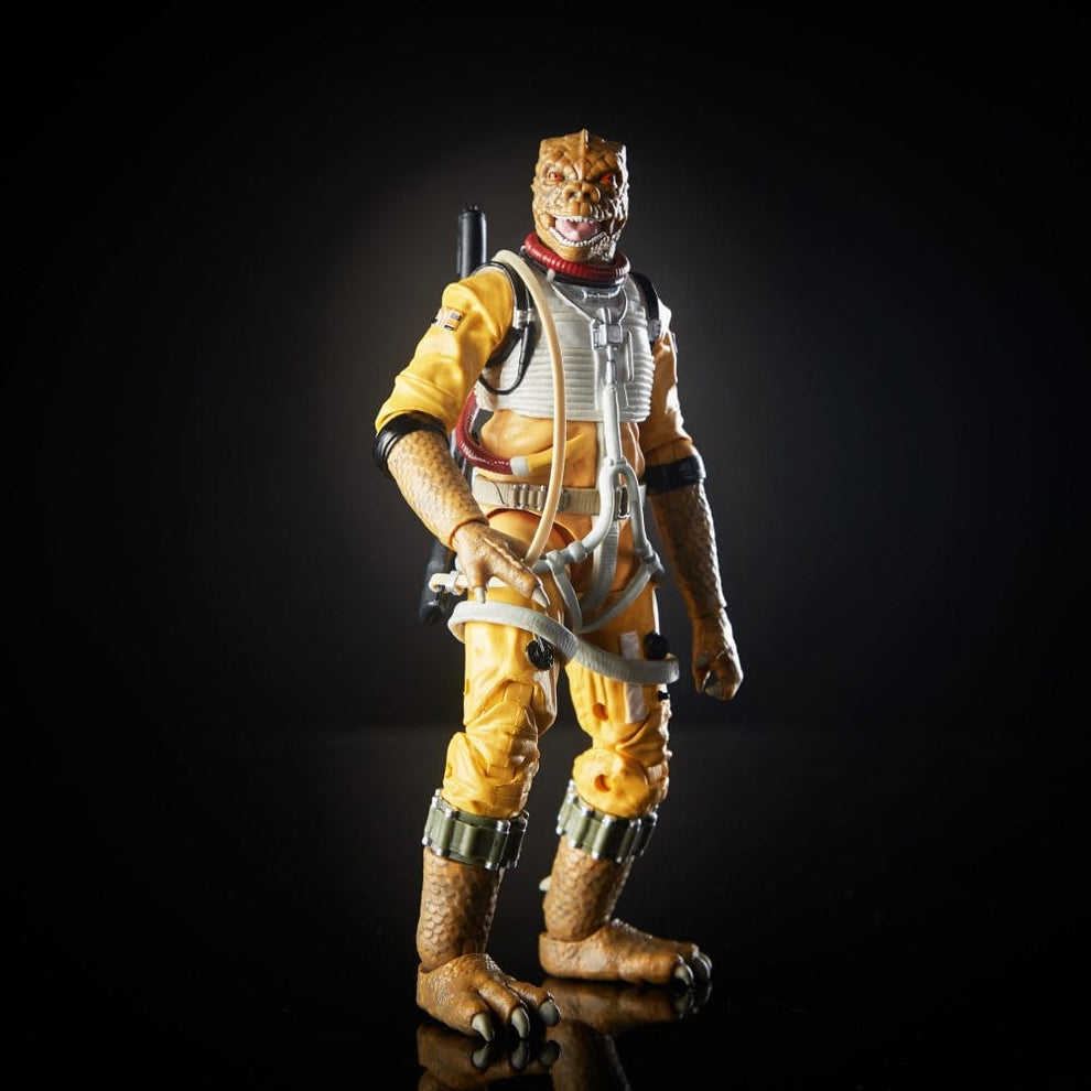 Hasbro 2024 Bossk Black Series Star Wars Figure – 4th Moon Toys